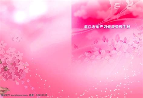 海口市孕产妇健康管理手册封面素材图片下载 素材编号14433749 素材天下图库