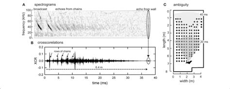 Pulse Echo Ambiguity A Spectrograms Of One Fm Echolocation Download Scientific Diagram