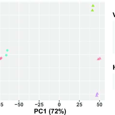 PCA Showing Gene Expression Relative To Mock Infected Cells For