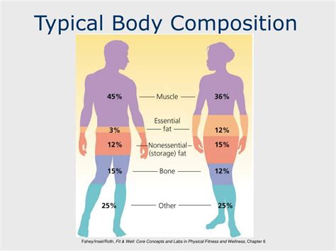 Ppt Body Composition Powerpoint Presentation Free Download Id719845