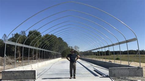 Phinite Turns Hog Waste Into Something More Valuable Than Gold