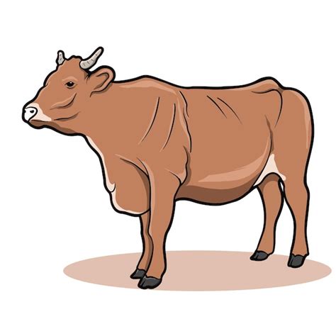 Sapi Kurban Premium Vector