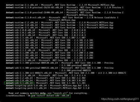 在centos7上完整的部署net Core项目sentos7 运行c Csdn博客