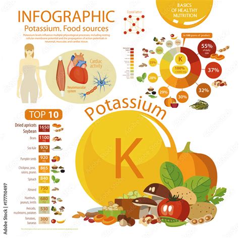 Printable Potassium Food Chart