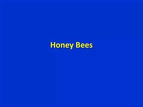 PPT Honey Bees PowerPoint Presentation Free Download ID 5905389