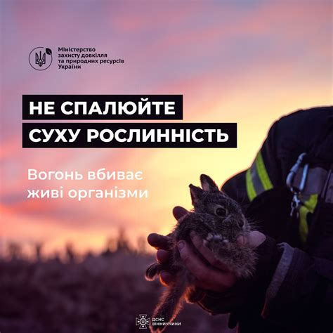 🔥Навесні багато хто вдається до спалювання сухої рослинності та листя Окрім того що це шкодить