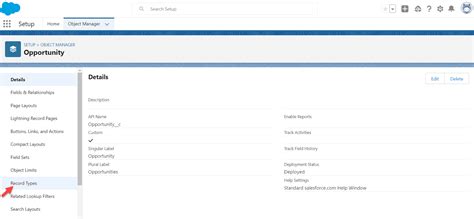 Record Types In Salesforce