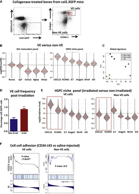 Proximity Based Differential Single Cell Analysis Of The Niche To Identify Stemprogenitor Cell