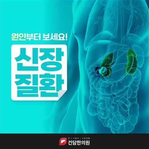 신장질환의심 여러가지 방법으로 검사를 진행해