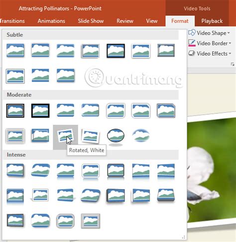 PowerPoint How To Insert Videos Into PowerPoint
