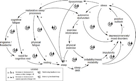 Feedback Loops Within The Experiential Scale Of Concussion A Series