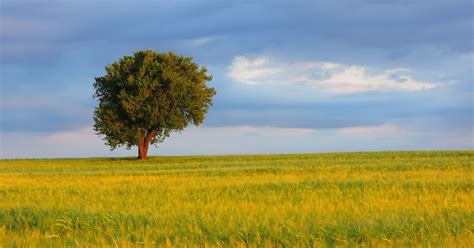 Eliminar Un Elemento De Una Imagen