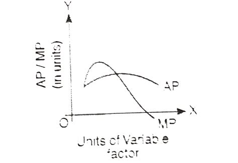 Which Of The Following Is Correct Statement Showing Showing The Relationship Between AP And MP