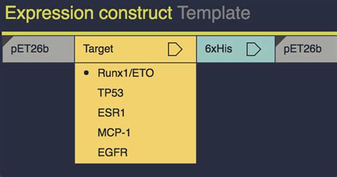 Linear Vs Circular Data Visualization For Plasmids Autodesk BioNano
