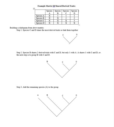 Solved Example Matrix Of Shared Derived Traits Species A