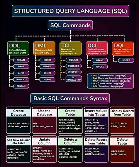 Database Developers In 2024 Learn Sql Sql Data Science Learning