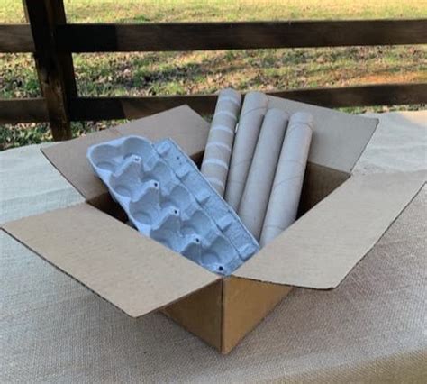 The Step Guide To Setting Up A Worm Bin