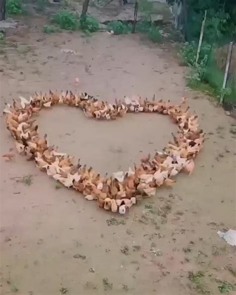 Hazrat Bilal Posted On Linkedin