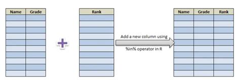 Any And All Function In R Datascience Made Simple