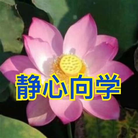 学习表情包 cr vb学习表情包 堆糖美图壁纸兴趣社区