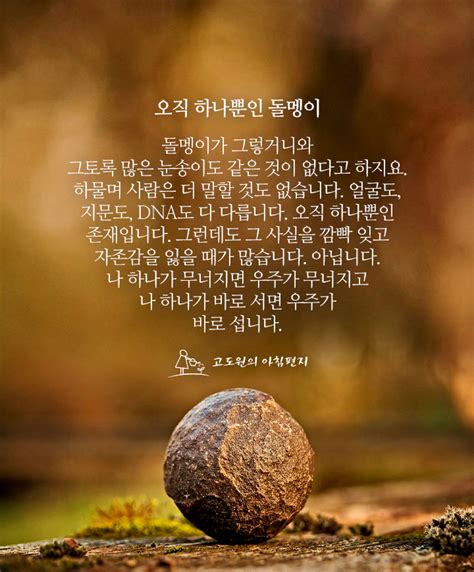 고도원의 고도원의 아침편지💌 오직 하나뿐인 돌멩이 오직 하나 지천으로 널린 돌멩이 모두 똑같아 보일지라도 사실 세상 그 어디에도 똑같은 돌멩이는 없다 저마다의