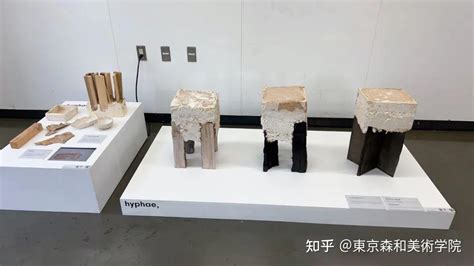 多摩美术大学2023毕业展 知乎