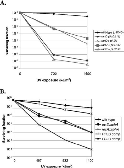 Spontaneous Mutation Rates Of H Pylori And E Coli Wild Type Mutant Download Scientific