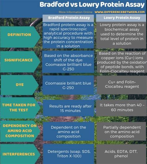 Difference Between Bradford And Lowry Protein Assay Compare The Difference Between Similar Terms