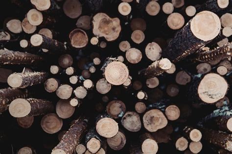 Structured Logging In Java With Slf4j And Logback