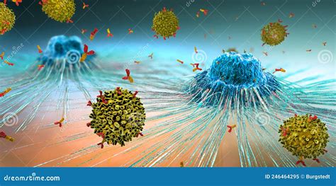 Lymphocytes Cell In The Immune System Reacting And Attacking A