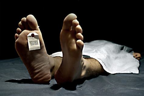 Morgue By Provakat On Deviantart