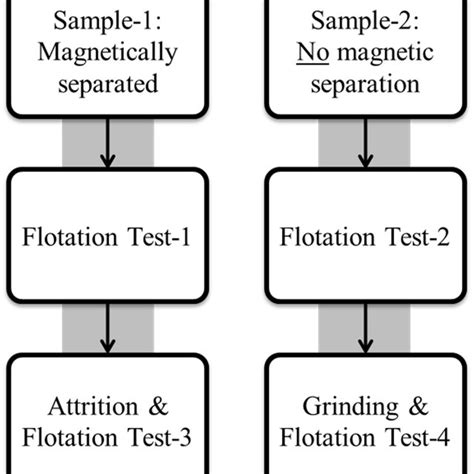 Schematic Of The Froth Flotation Separation Process Approach Used In Download Scientific