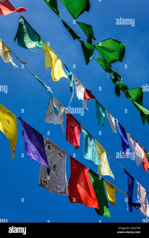 Buddhist Prayer Flags Lunga In Mcleod Ganj Himachal Pradesh India