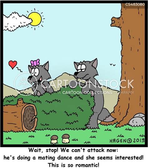 Mating Dance Cartoons And Comics Funny Pictures From Cartoonstock