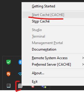 The service for the Caché instance did not start InterSystems Developer