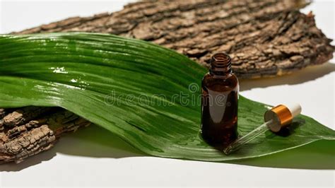 Oil Bottle With Dropper Tree Bark Leaf On White Stock Image Image Of Skincare Leaf 262460829