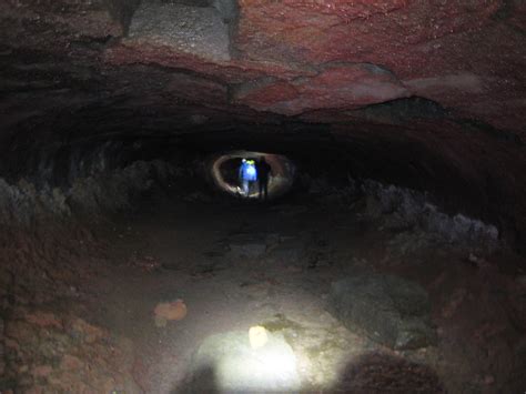 Img 8849 Lil M Moses Flickr