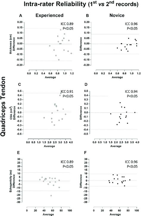 Quadriceps Tendon Intra Rater Reliability 1 St Vs 2 Nd Records