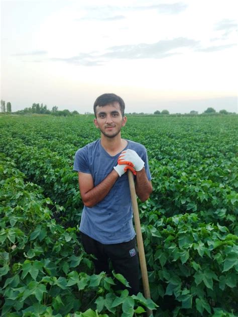 Firdovsi Mirzayev Linkedin‘de Linkedin Farmer 16 Yorum