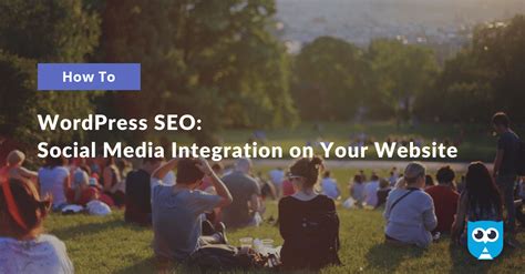 wordpress seo social media integration on your website netpeak