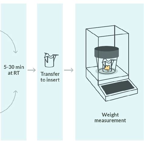 Schematic Of The Gentamicin Elution Experimental Setup Abbreviation