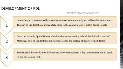 Ultra Structure And Function Of Pdl Pptx Dental Health Diseases And
