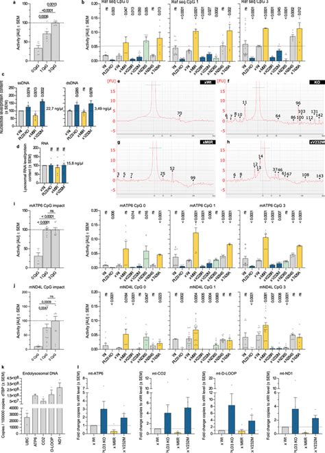 Pld3s Exonuclease Function Impacts The Endolysosomal Nucleotide