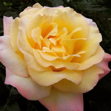 Pin Up Girls Sailor By Anhen On Deviantart