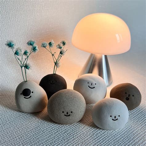 반려돌을 아시나요 반려돌 반려석 펫스톤