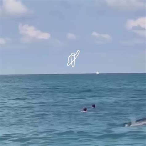 ბათუმში ზღვაში დელფინები გამოჩნდნენ Youtube