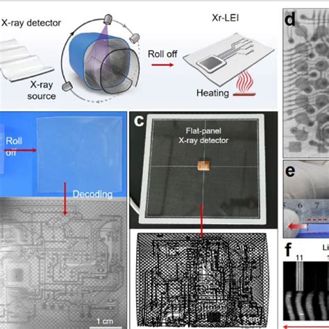 A Schematic Description Of 3d Electronic Scintillation Imaging Through Download Scientific