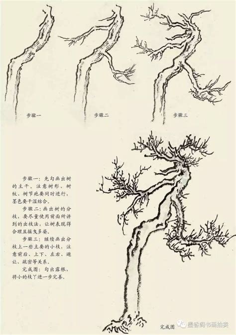 怎么画枯树简单简笔画星空大山谷图库