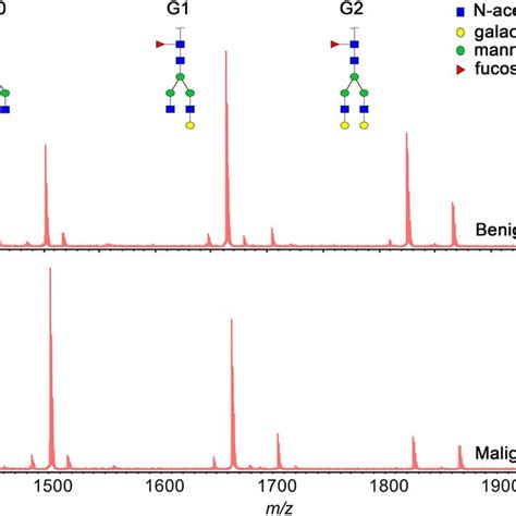 Representative Maldi Ms Spectra Of Serum Igg N Glycan Profiles Acquired Download Scientific