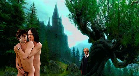 Post Alan Rickman Daniel Radcliffe Dh Slash Draco Malfoy Fakes Harry James Potter Harry